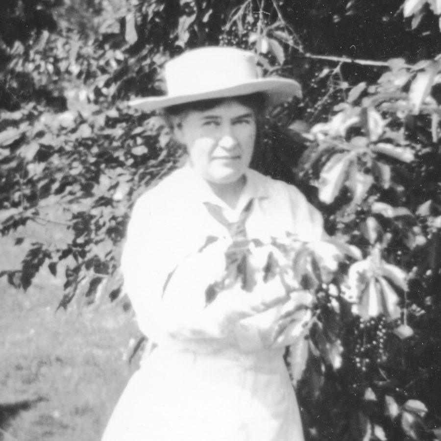 Sarah Orne Jewett House